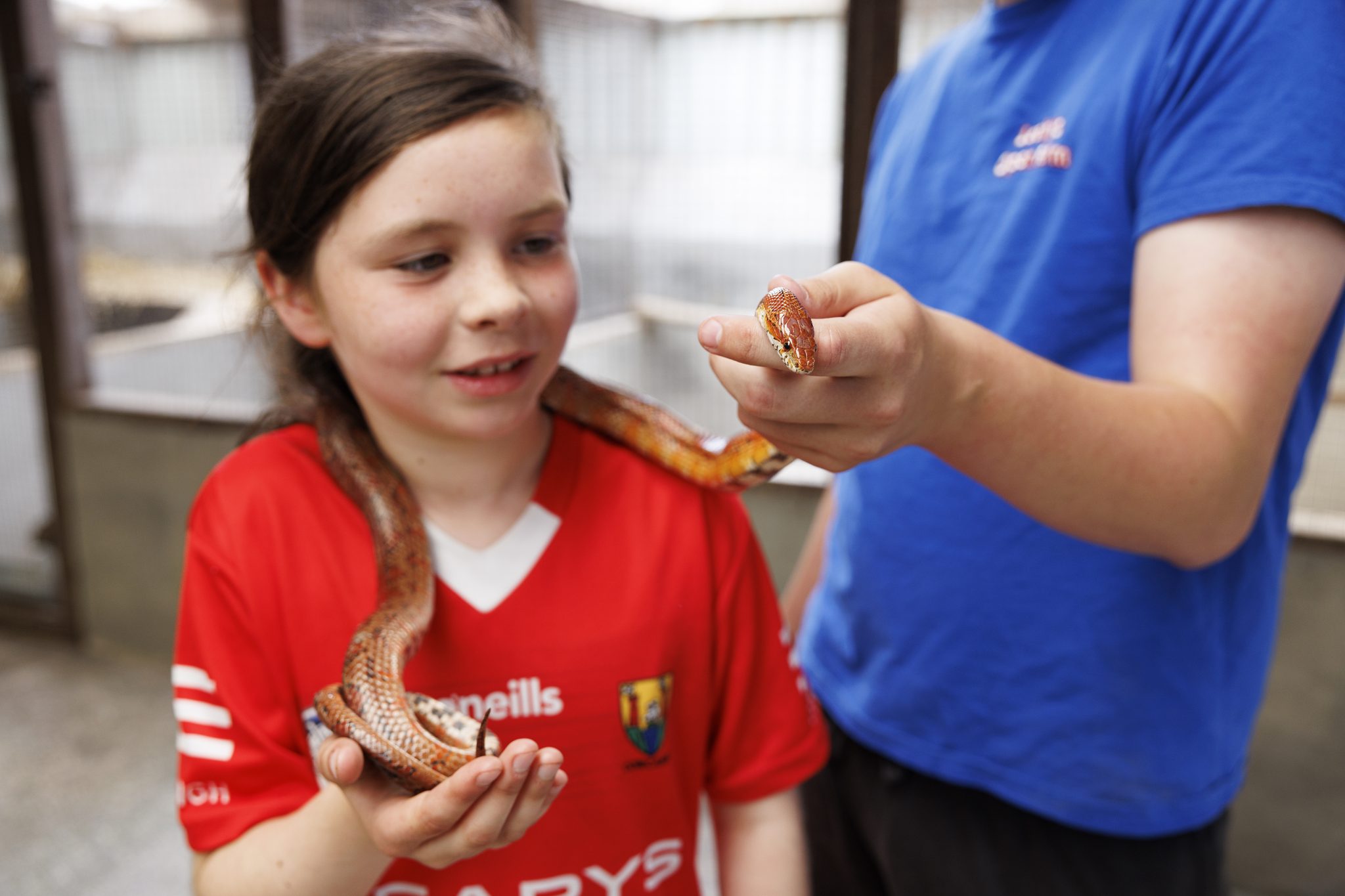 Leahy's Open Farm - Family Petting Farm & Activities