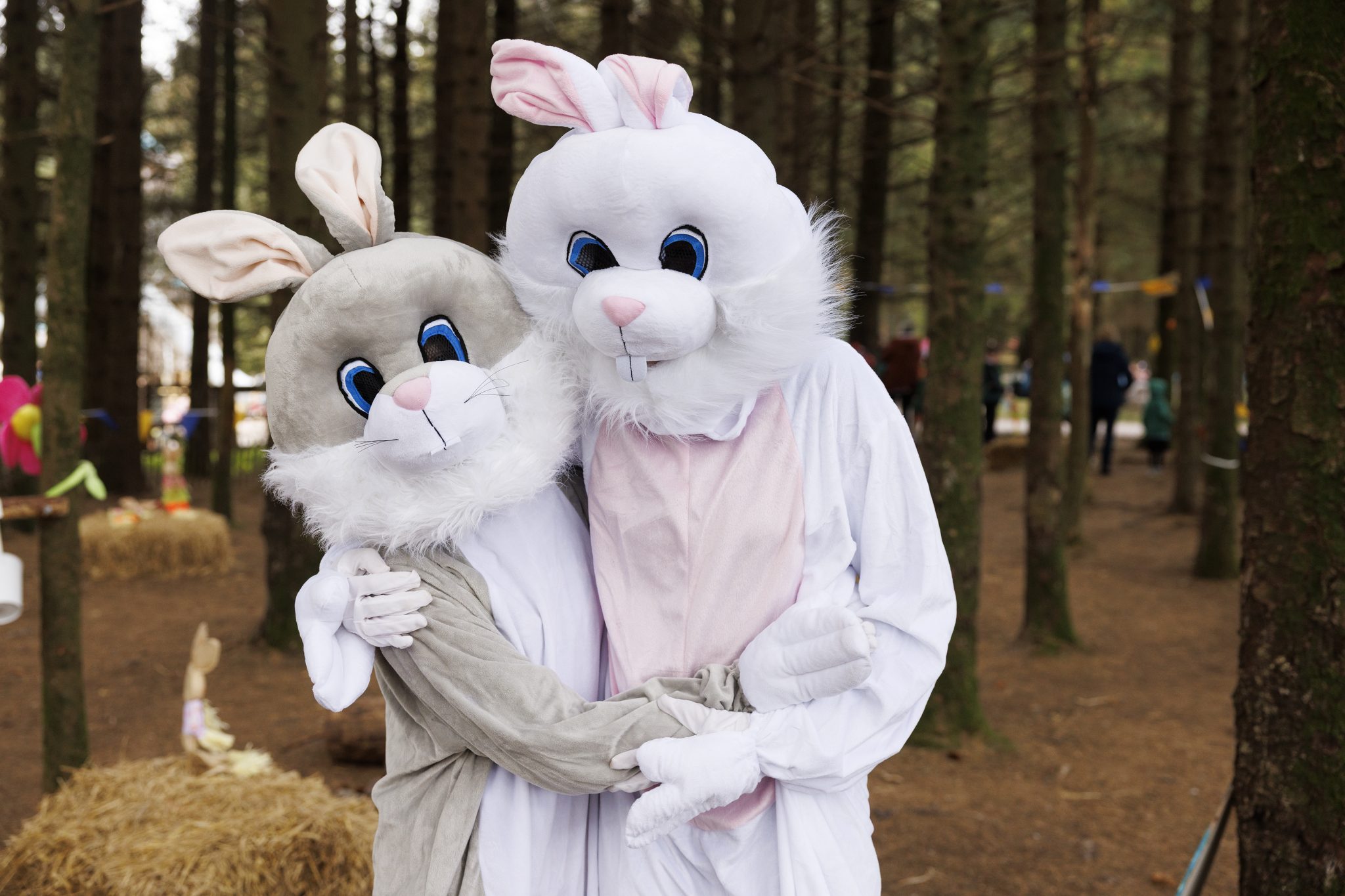 Book Tickets - Family Petting Farm & Activities